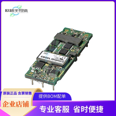 CES48033-25-S【DC DC CONVERTER 3.3V 83W】