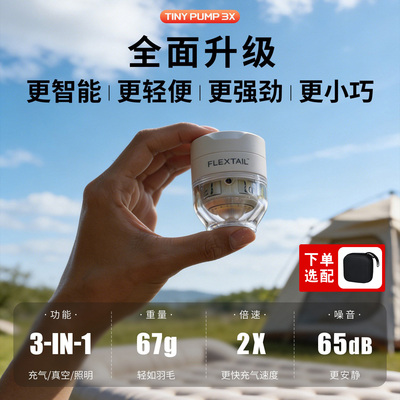 鱼尾迷你电动抽充两用充气泵