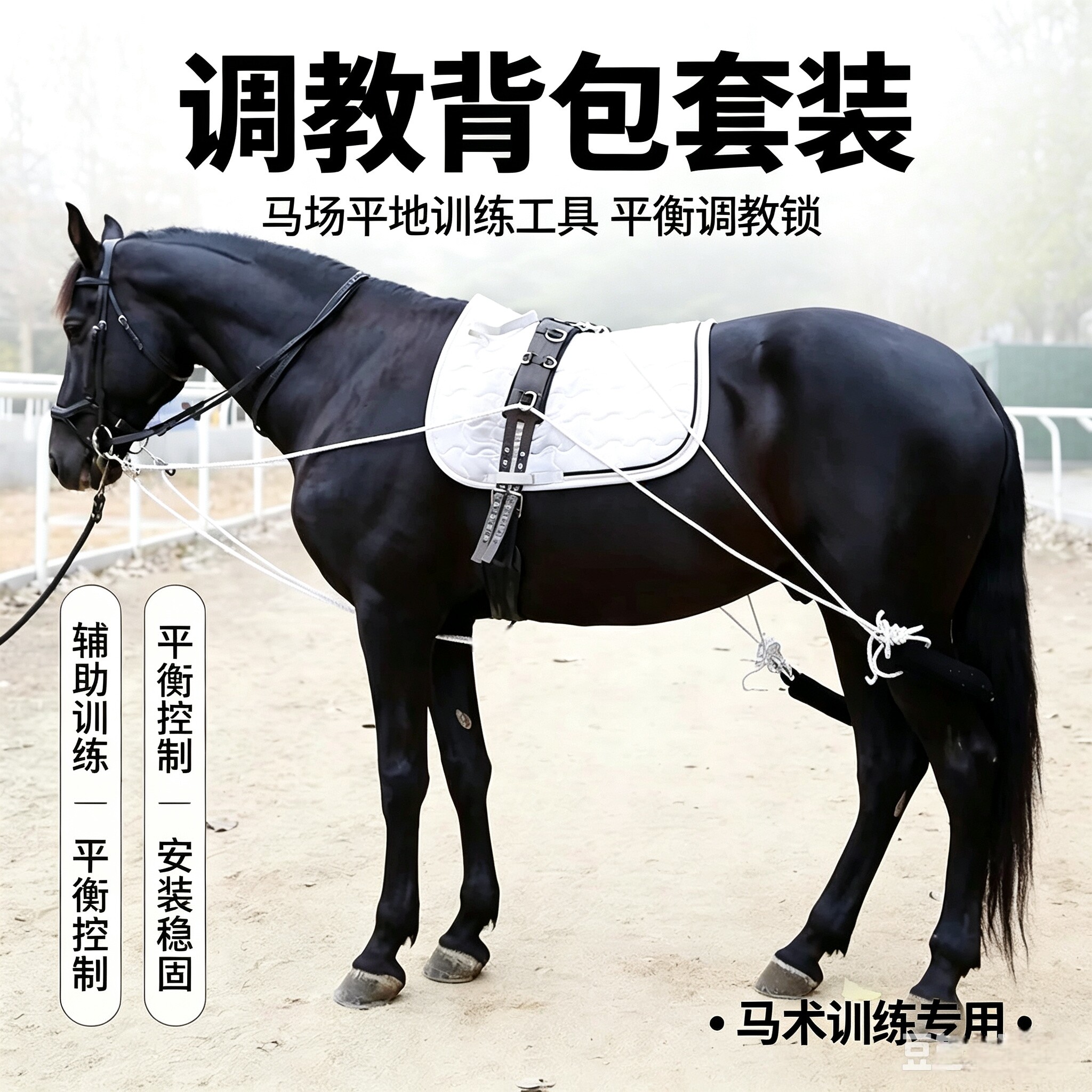 迪凯马具调教背包肚带训练马匹平衡马背马术非八尺龙平衡调教索