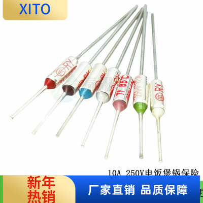 (10pcs)温度保险丝TF保护热RY65