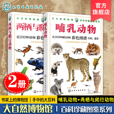 2册 大自然博物馆百科珍藏图鉴系列 哺乳动物 两栖与爬行动物 两栖与爬行动物百科图鉴 哺乳动物形态习性生活环境繁殖 科普知识书