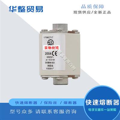 巴斯曼全新原装正品快速熔断器保险丝 170M2718