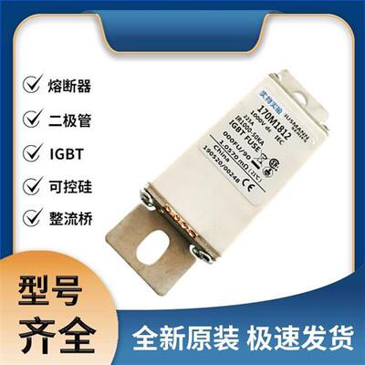 巴斯曼170M1812 熔断器 保险丝 极速发货 现货可直拍