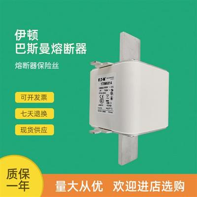 全新快速熔断器保险170M6866 170M6867 170M6868 170M6869