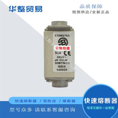 巴斯曼全新熔断器保险丝170M2764 170M2765 170M2766 170M2767