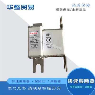 巴斯曼快速熔断器保险丝170M1308 170M1309 170M1310 170M1311 17