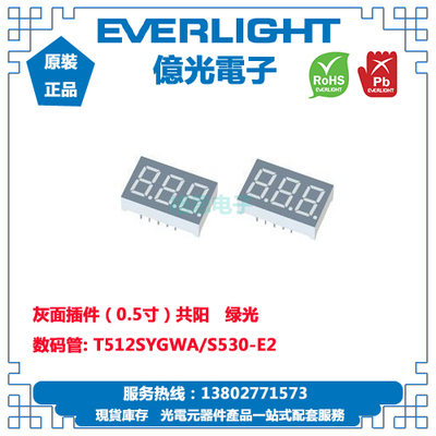 T512SYGWA/S530-E2亿光原装正品插件数码管