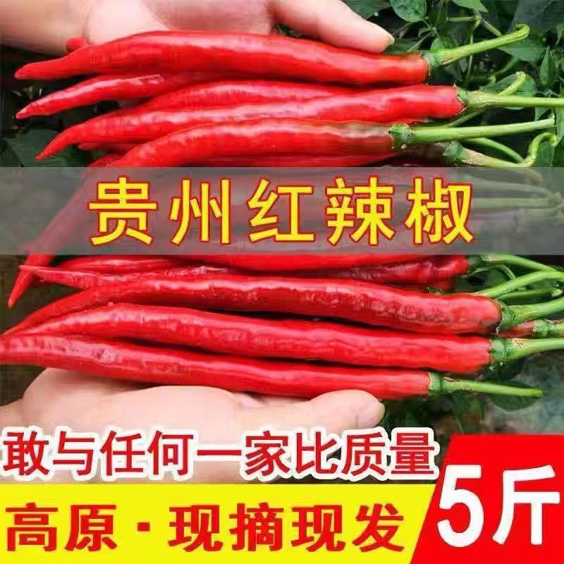 新鲜红线椒红二荆条红辣椒贵州红海椒红青椒新鲜蔬菜做剁椒辣椒酱