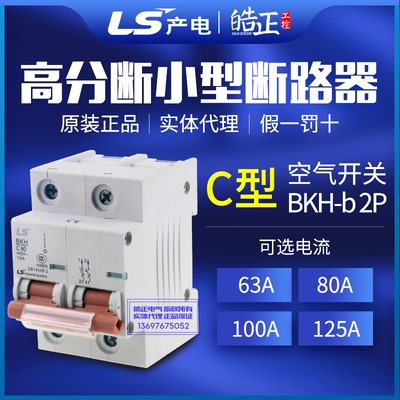BKH-B2P低压断路器LS产电