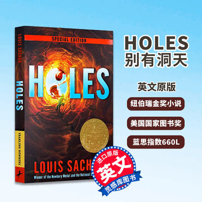 Holes洞别有洞天青少年文学