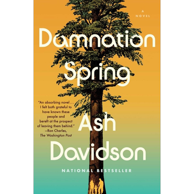 现货 诅咒之泉 英文原版 Damnation Spring Ash Davidson【中商原版】