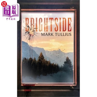 海外直订Brightside “光明