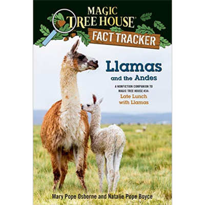 Magic Tree House Fact Tracker 43 Llamas and the Andes 神奇树屋小百科43 英文原版进口图书 小初文学英语阅读【中商原版】
