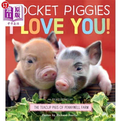 海外直订Pocket Piggies: I Love You! 小猪：我爱你！
