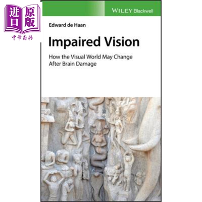 现货 视力受损 脑损伤后视觉世界的变化 Impaired Vision Edward de Haan 英文原版【中商原版】wiley