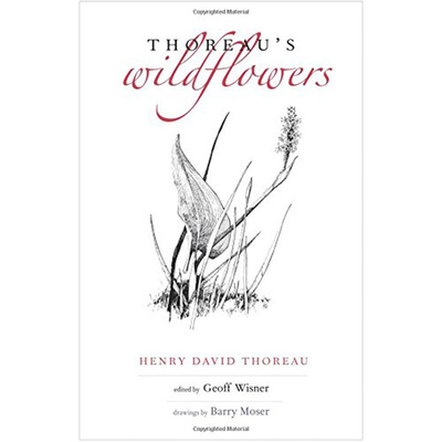 现货 【中商原版】梭罗的野生花 英文原版 Thoreau's Wildflowers 散文 自然文学