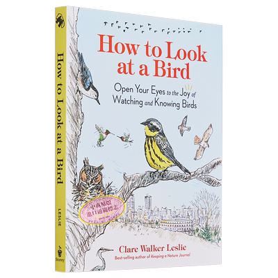 如何观鸟观鸟的乐趣