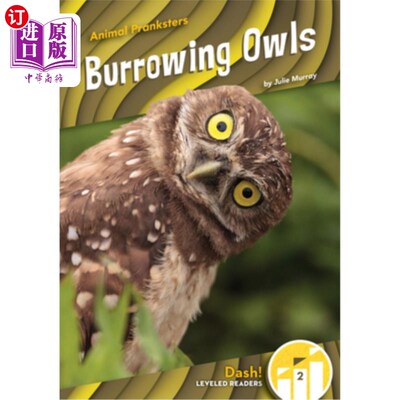 海外直订Burrowing Owls 穴居猫头鹰