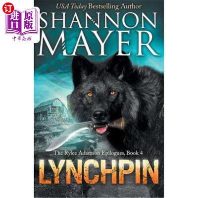 海外直订Lynchpin 关键