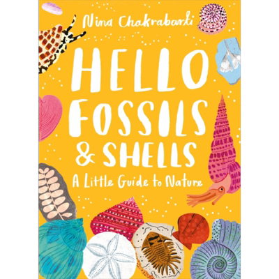 大自然小指南 你好化石贝壳 Little Guides to Nature Hello Fossils and Shells 英文原版 Nina Chakrabarti【中商原版】