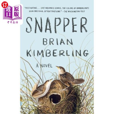 海外直订Snapper 鲷鱼