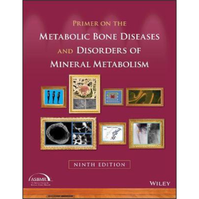 现货 Primer On The Metabolic Bone Diseases And Disorders Of Mineral Metabolism John Bilezikian