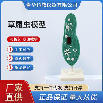 青华33103草履虫仪器初中模型生物仪器科教高中演示教学