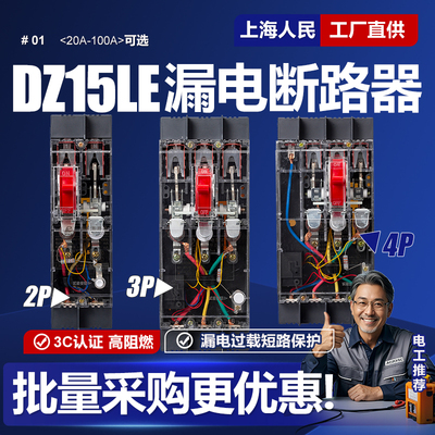 DZ15LE三相漏电断路器2P 3P 4P空气开关220V单相漏保40A 100A空开
