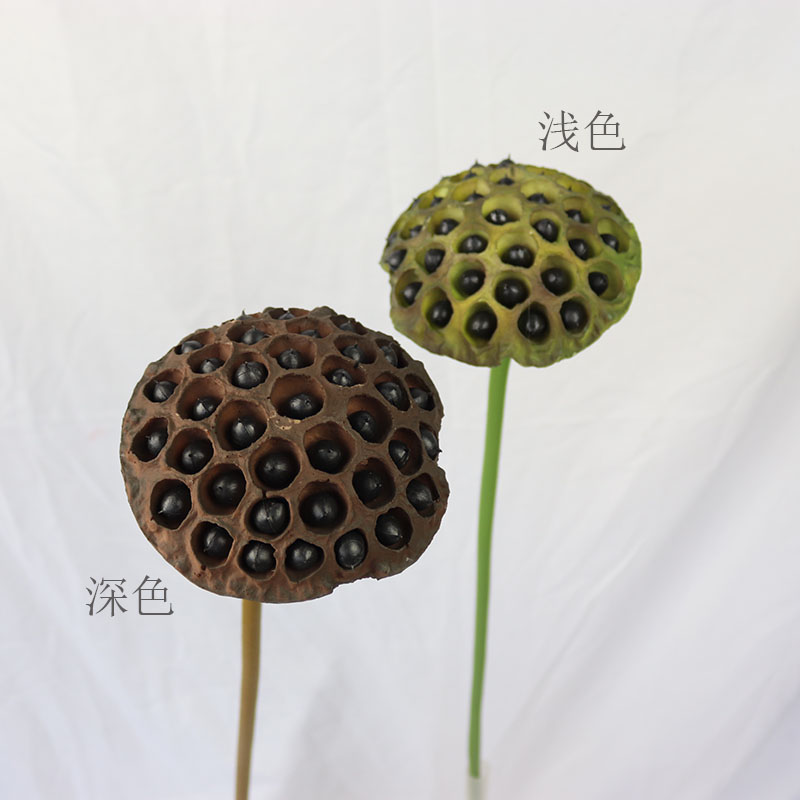 仿真荷花 荷叶造景假莲花漂浮睡莲花舞蹈道具鱼缸装饰 带杆连蓬