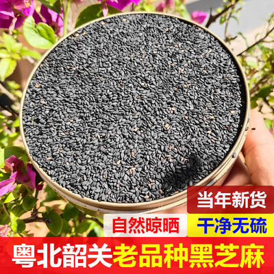 黑芝麻米500g袋装无添加