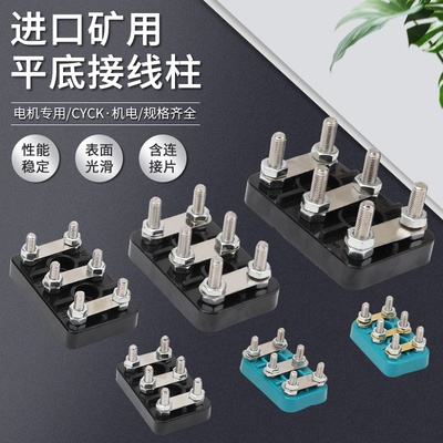 三相电机进口矿用电动机接线柱