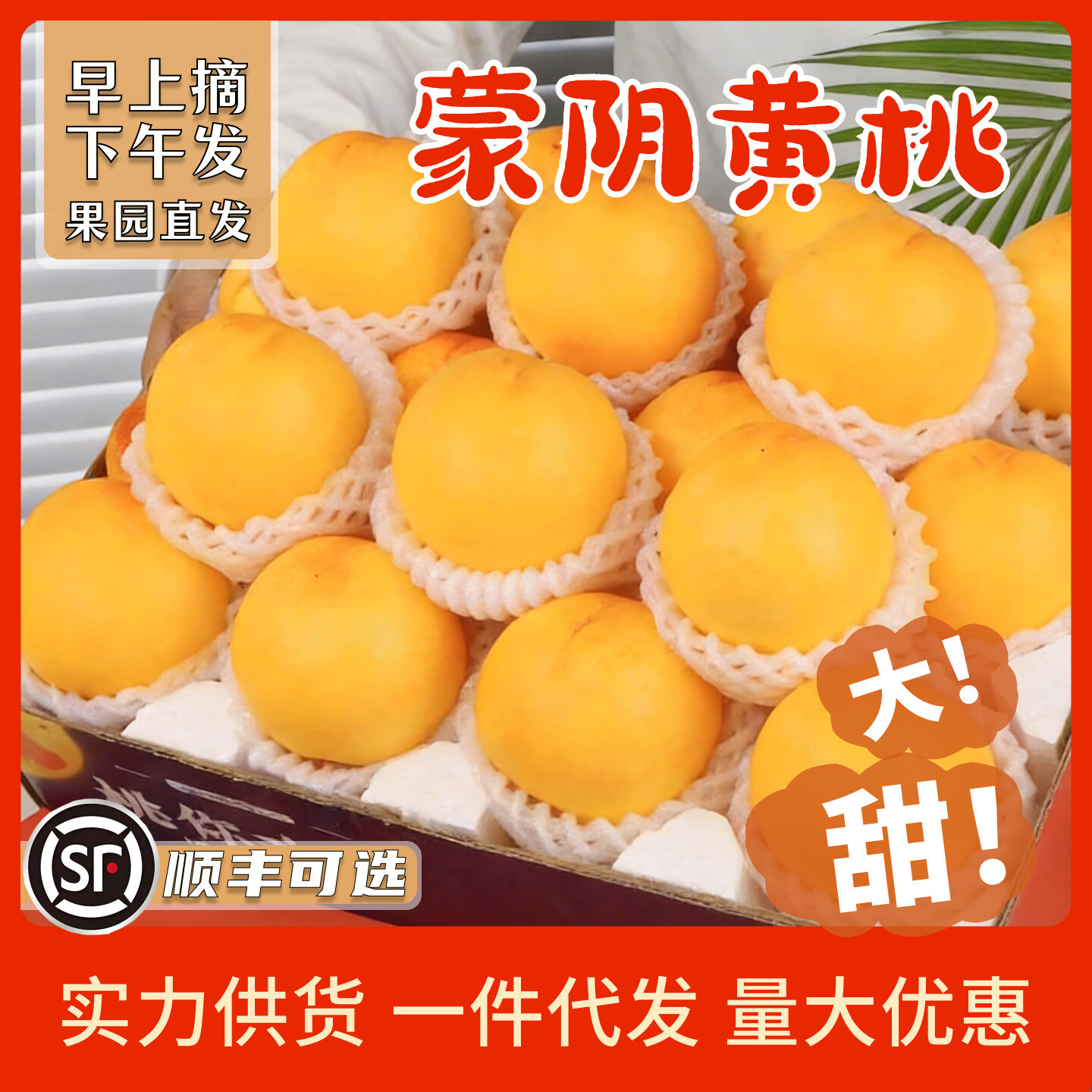 黄桃 山东蒙阴新鲜桃子 水果时令黄金蜜桃当季整箱现摘黄肉蜜桃