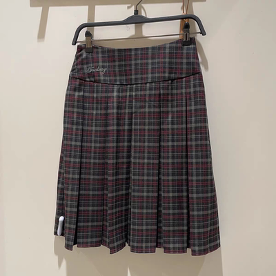 热2025年春季新款女士C1格子半裙F14W25100