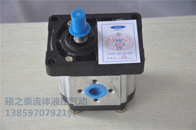 SDH上海大众齿轮泵CBTt-F304 306 308 310 314 316 320 325F3P7压