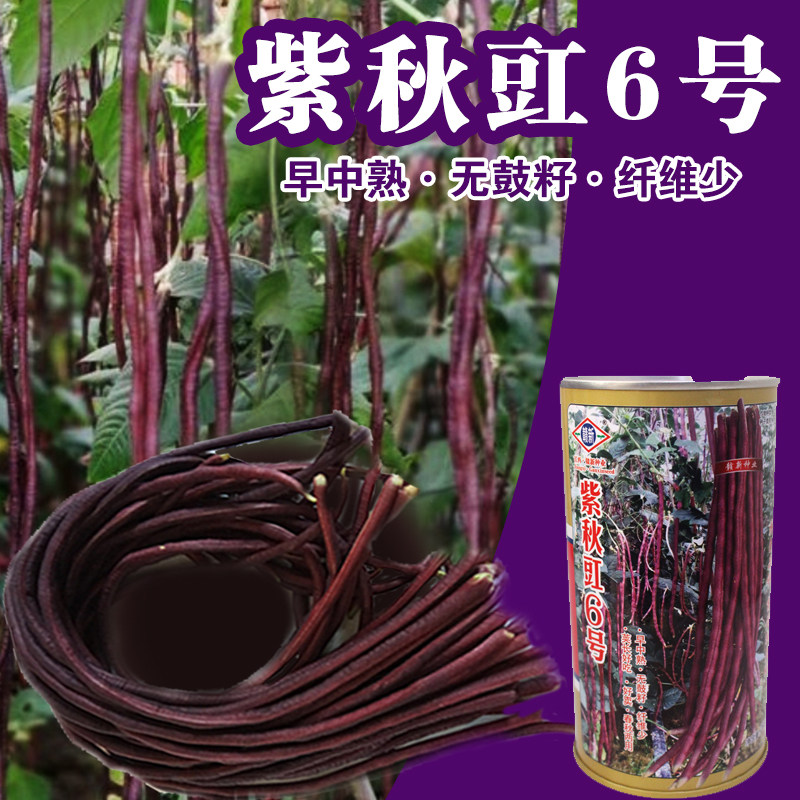 春秋红豇豆种子红豆角籽特长高产红豇豆种籽菜豆春季播蔬菜种子孑