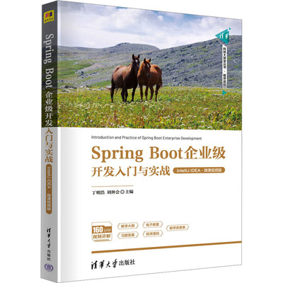 正版 Spring Boot企业级开发入门与实战 IntelliJ IDEA·微课视频版 丁明浩 刘仲会 清华大学出版社 9787302629665