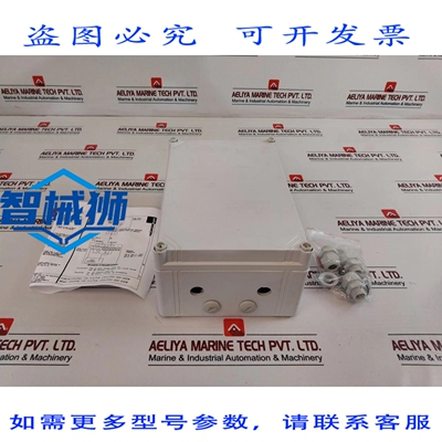 原装供应 NORSELIGHT 1109011 250W 220V 60HZ HS/HI 灯泡的扼流