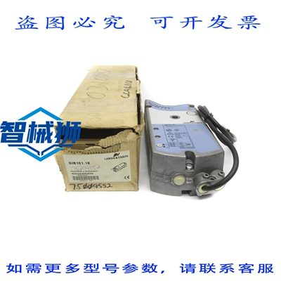 原装供应 LIS&STAEFA GIB161.1E NSMP