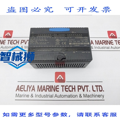 原装供应 FANUC IC200MDL750E 输出模块 12/24 VDC FANUC IC200M