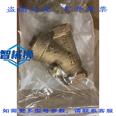 原装供应 STERIS/AMSCO 1/2 英寸 NPT 止回阀 P150822354 P150822