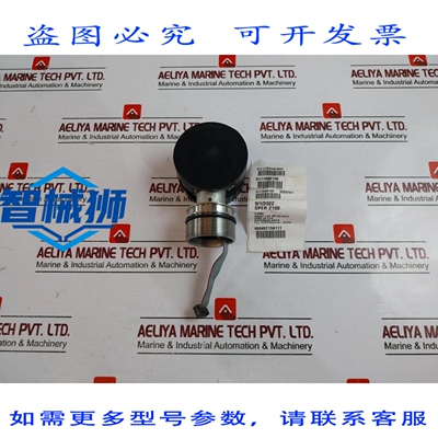 原装供应 精密变送器 50049713A111 220407 30755972-011 SS316