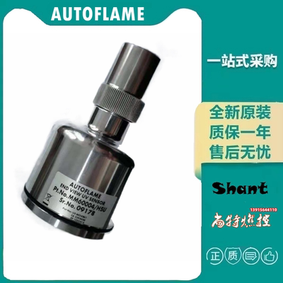 火焰探测器AutoflameMM60004/HSU
