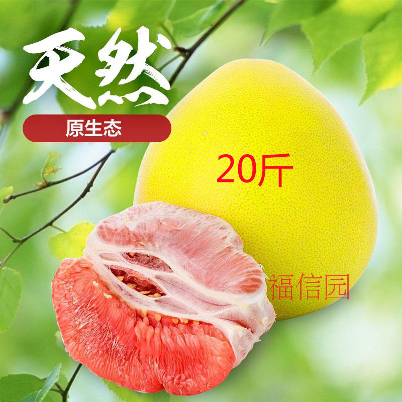 红心肉柚子红柚子梅州蜜柚新鲜水果中秋送礼包邮非西柚平