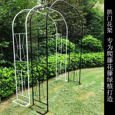爬藤架欧式拱形花架月季拱门爬支架藤架藤架铁线莲植物牵引花户外