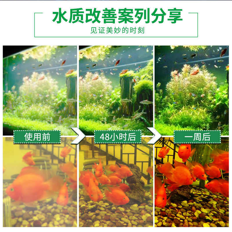 鱼缸净水剂硝化细菌水族消化活菌水质稳定剂除氯水安定澄清澈剂