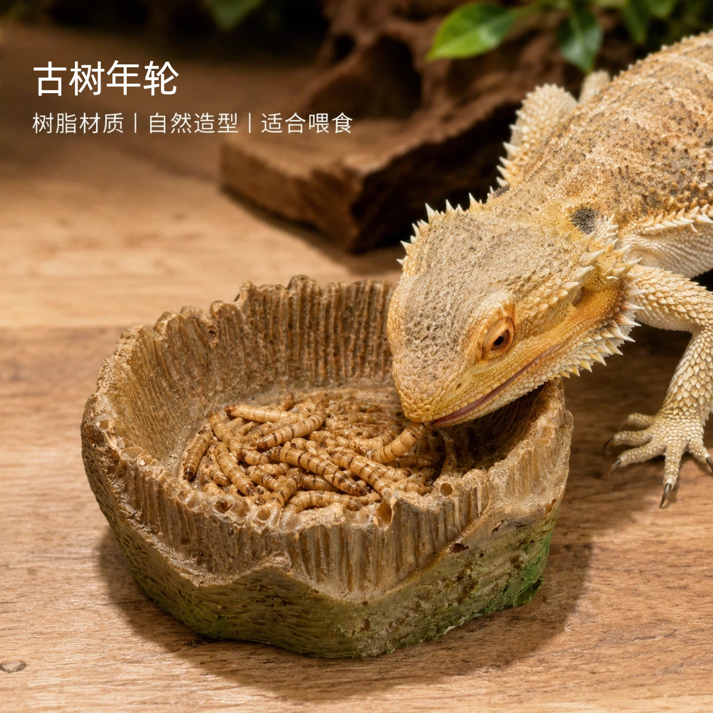古树年轮树脂爬宠饮水器食盆天然造型适合喂食创意水盆