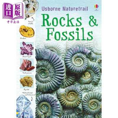 进口原版 *Rocks and Fossils 岩石和化石 英文原版 进口图书 儿童科普绘本 少儿知识百科图书 精品绘本儿童读物自   Usborne Publ