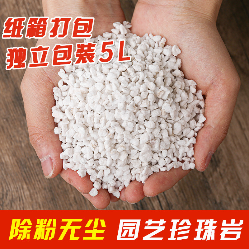 园艺珍珠岩5L精装无粉尘颗粒 过筛除粉袋装 扦插育苗配土介质植料
