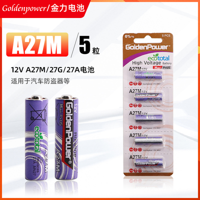 金力电池goldenpower电动门电池