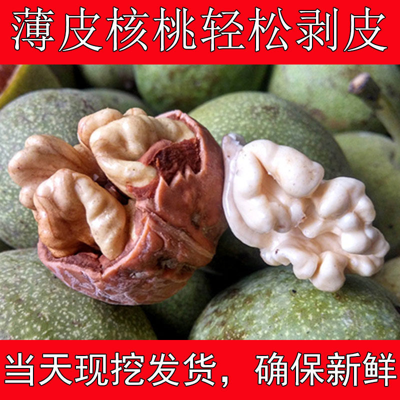 北京平谷新鲜湿核桃薄皮2026年新货薄皮鲜嫩生核桃5斤包邮送夹子